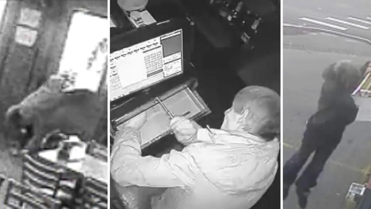 Watch Worst Burglar Completely Botch Bar Robbery Fox News Video