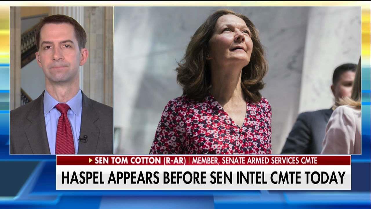 Sen. Cotton - Democrats Cant Accept That Trump Is President | Fox News ... Sen. Cotton - Democrats Cant Accept That Trump Is President | Fox News ...