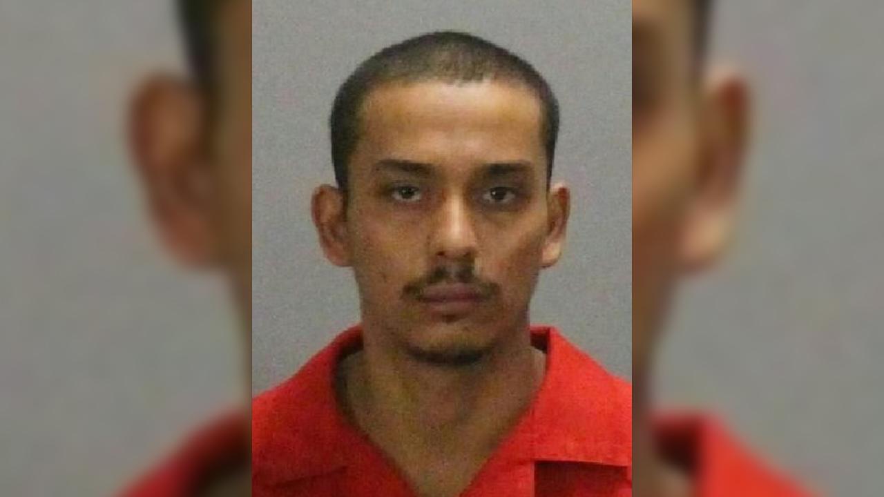 Dismembered Body Found In Neighbors Backyard Fox News Video