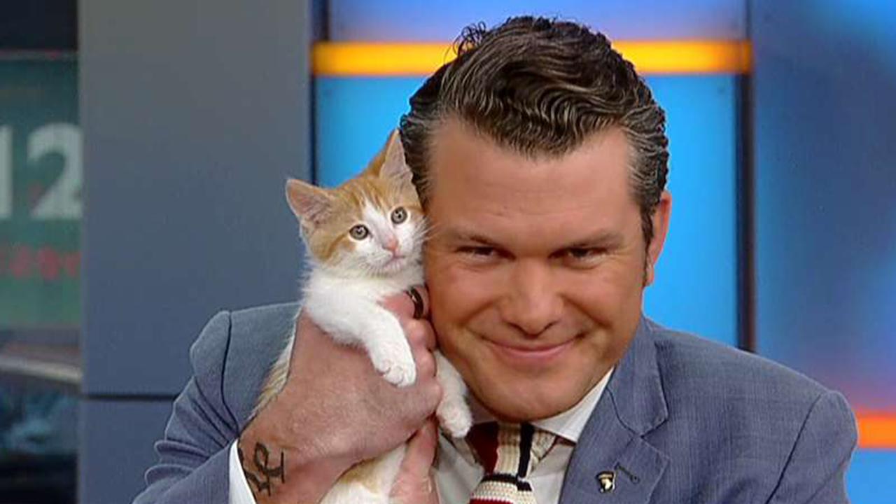 Give Dogs And Cats In Need A Forever Home This Holiday Season Fox News Video give-dogs-and-cats-in-need-a-forever-home-this-holiday-season-fox-news-video