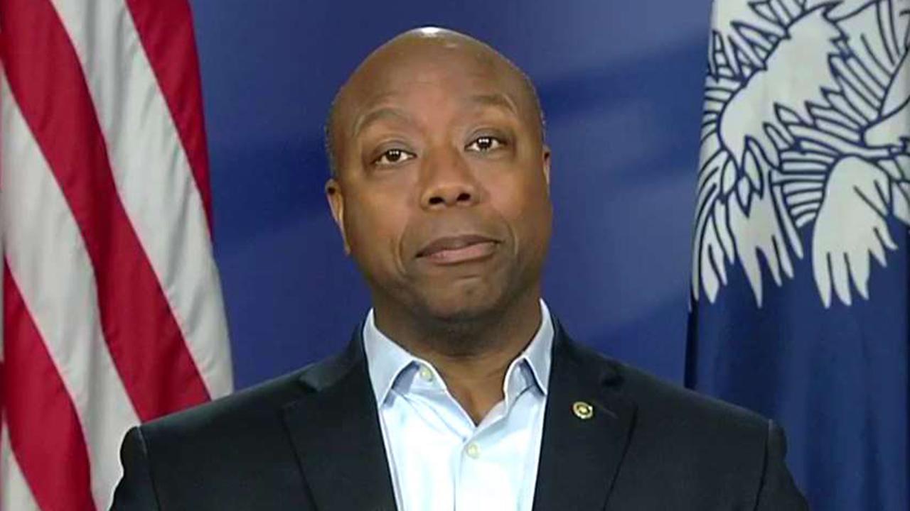 Sen. Tim Scott on the Senate's tax reform proposal | Fox News Video