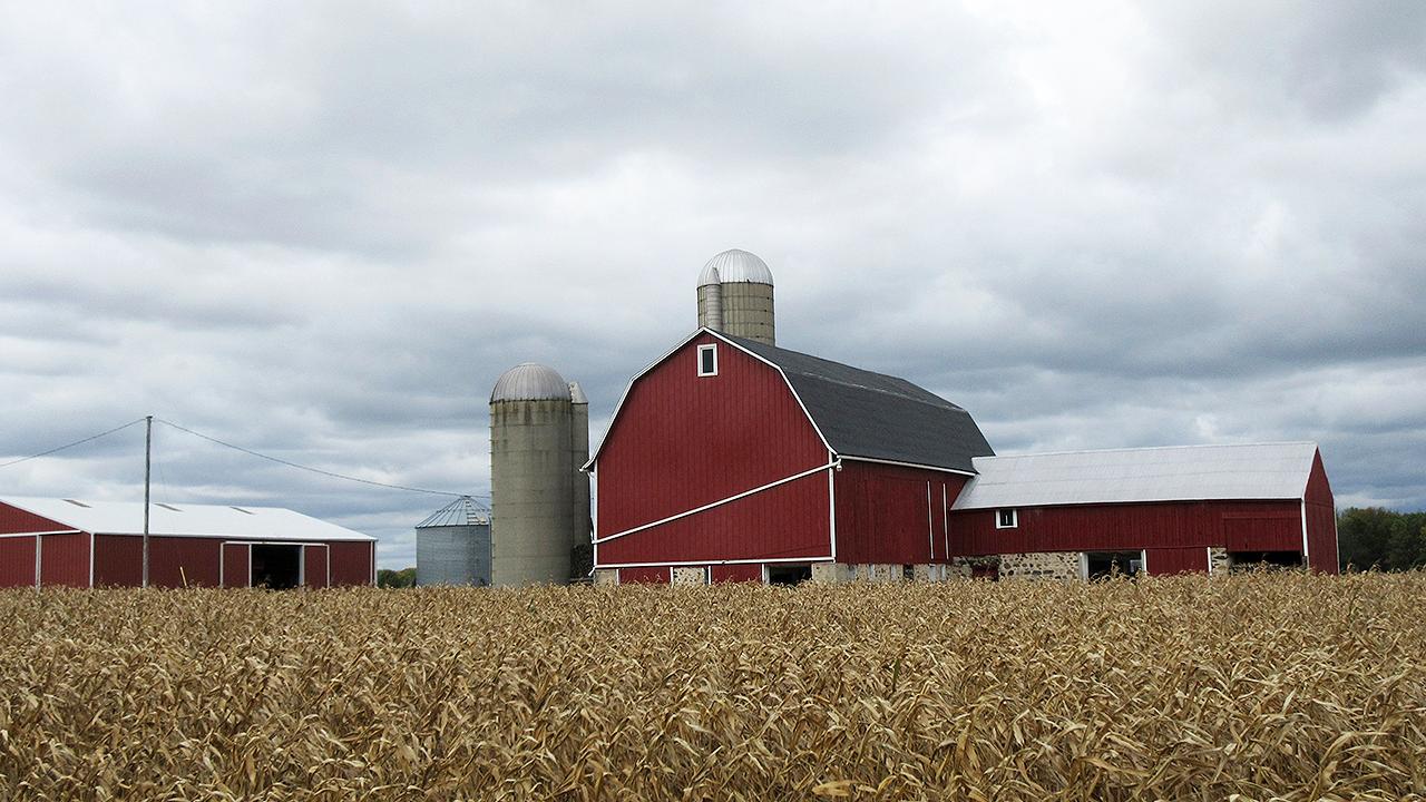 Trump lays out economic road map for rural America | Fox News Video
