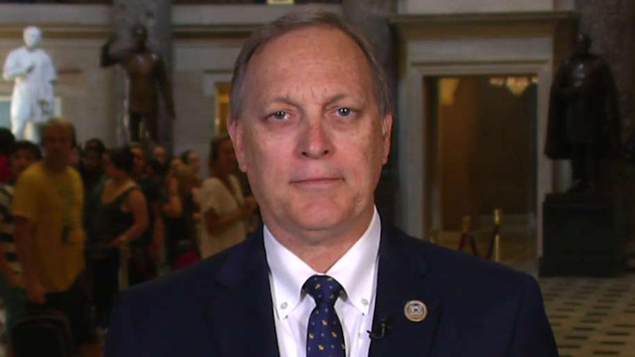 Rep. Biggs: Ohr at center of questions on Trump dossier | Fox News Video