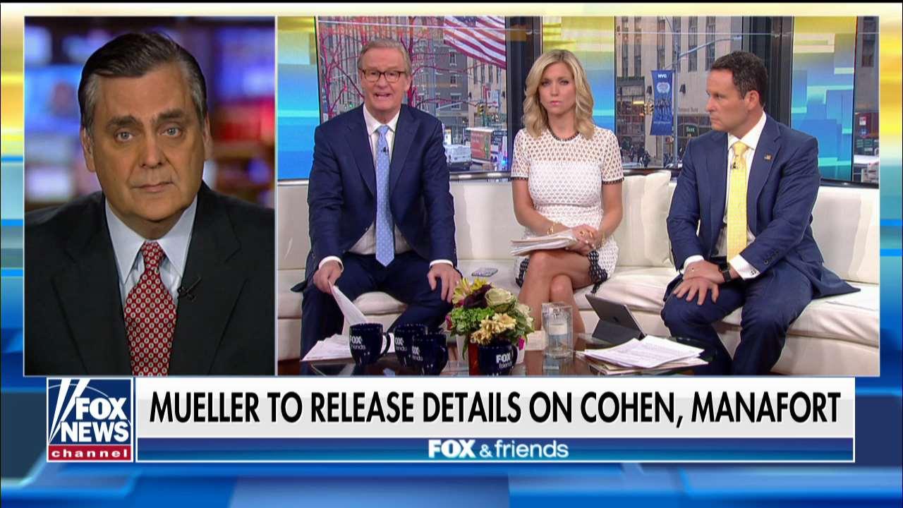 Turley: Michael Cohen's Request for Leniency 'Borders on Lunacy' | Fox ...
