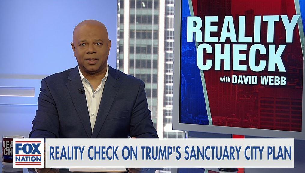 David Webb on Sanctuary Cities | Fox News Video